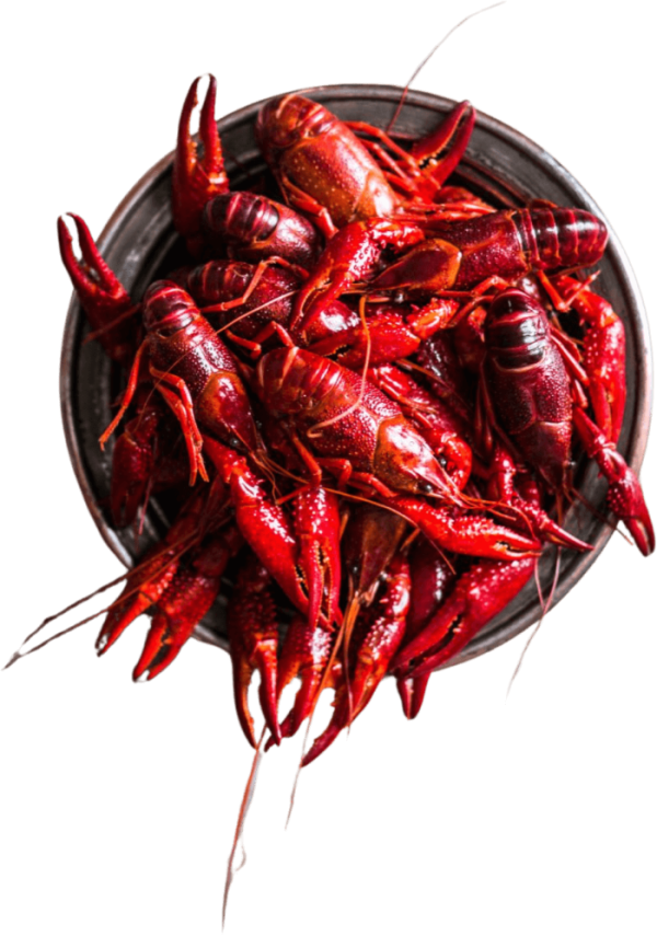 Gift Cards Archives - CajunCrawfish